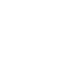 Flight 22 Basketball: Where Dreams Soar: Inspiring Players, and ...